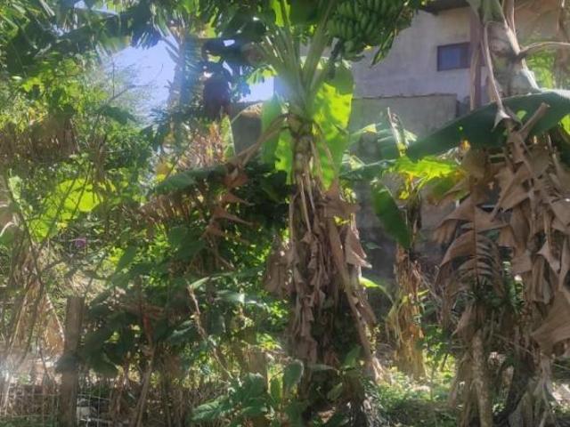 Terreno para Venda em Itanhaém, Jardim Suarão