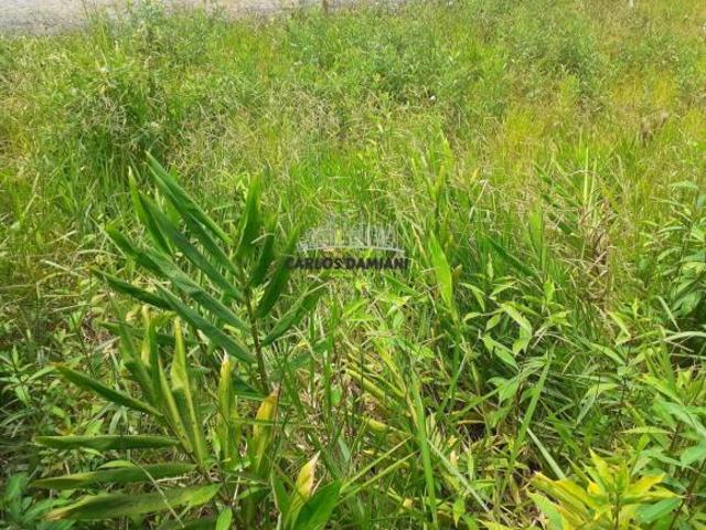 Terreno para Venda em Itanhaém, Jardim São Fernando