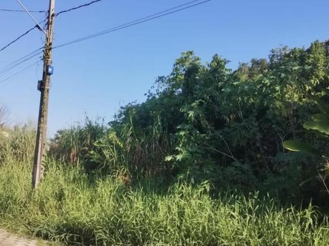 Terreno para Venda em Itanhaém, Jardim Umuarama