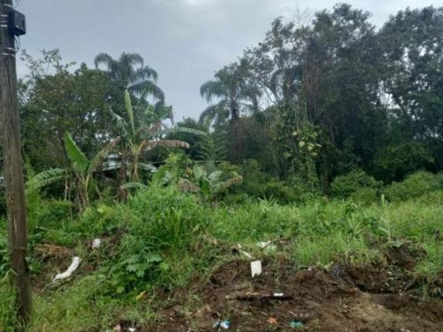 Terreno para Venda em Itanhaém, Jardim Umuarama