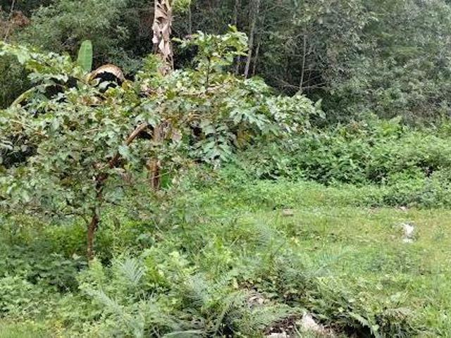 Terreno para Venda em Itanhaém, Jd. Cunhambebe