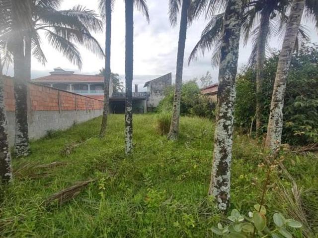 Terreno para Venda em Itanhaém, Jd das Palmeiras