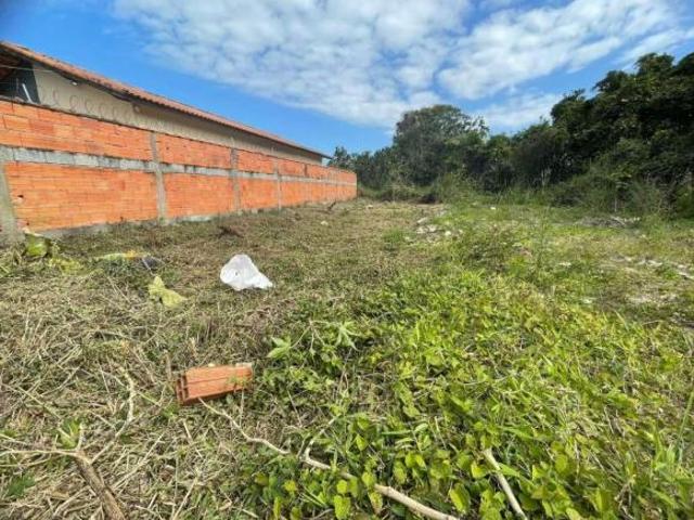 Terreno para Venda em Itanhaém, Loty