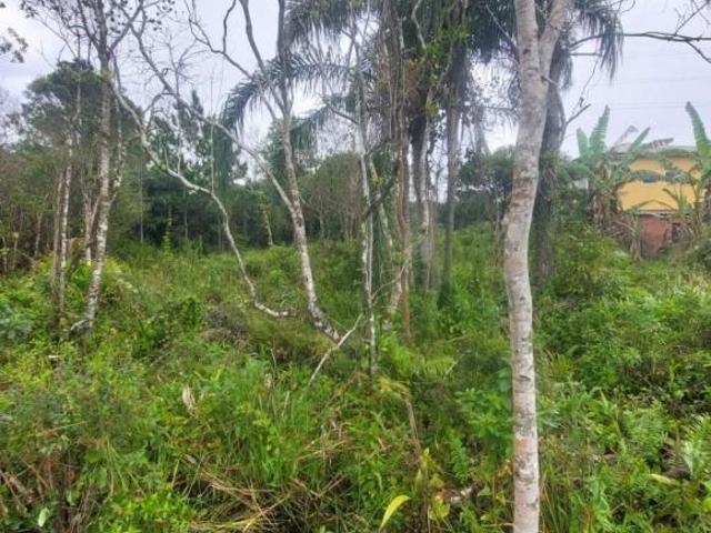 Terreno para Venda em Itanhaém, Luiza Mar