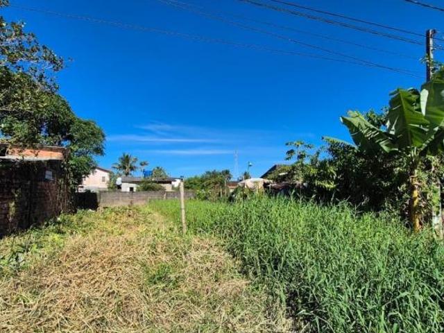 Terreno para Venda em Itanhaém, Luizamar Mirim