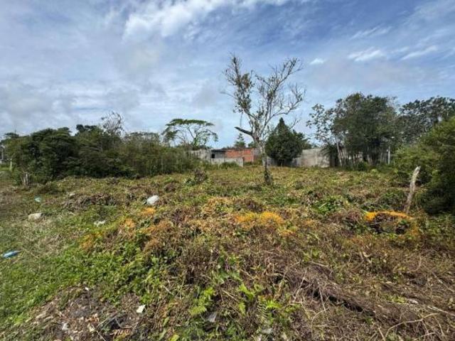 Terreno para Venda em Itanhaém, Luizamar Mirim
