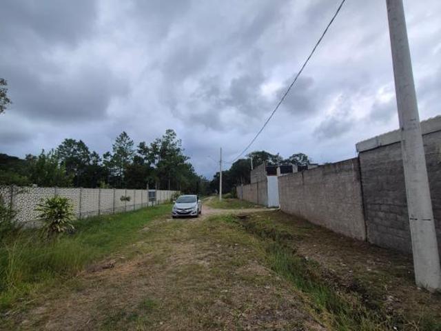 Terreno para Venda em Itanhaém, Luizamar Mirim