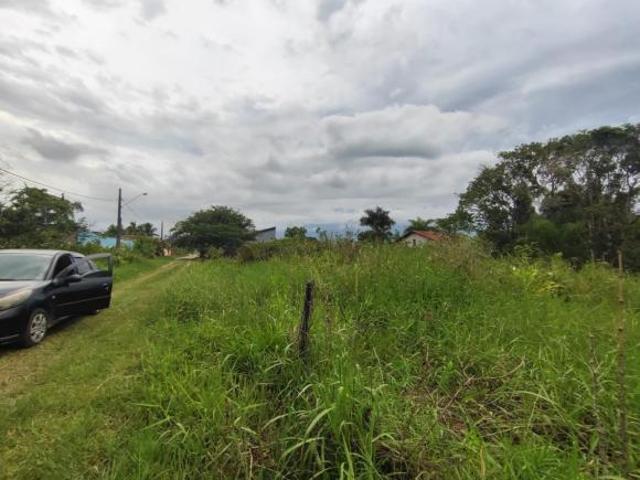 Terreno para Venda em Itanhaém, Luizamar Mirim
