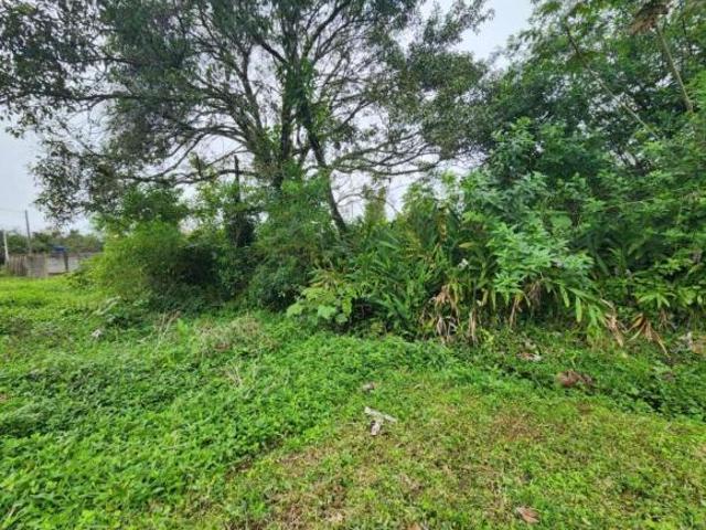 Terreno para Venda em Itanhaém, Luizamar Mirim