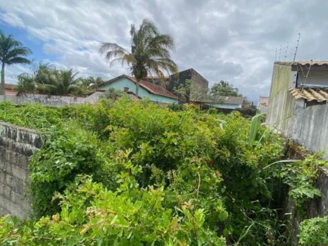 Terreno para Venda em Itanhaém, Luizamar Mirim
