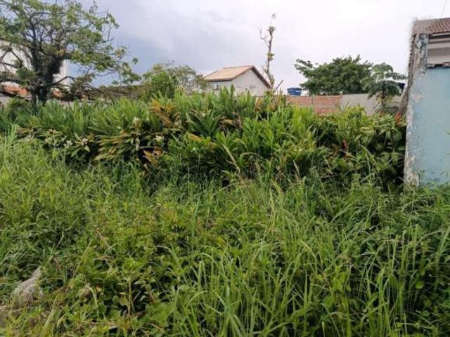 Terreno para Venda em Itanhaém, Luizamar Mirim
