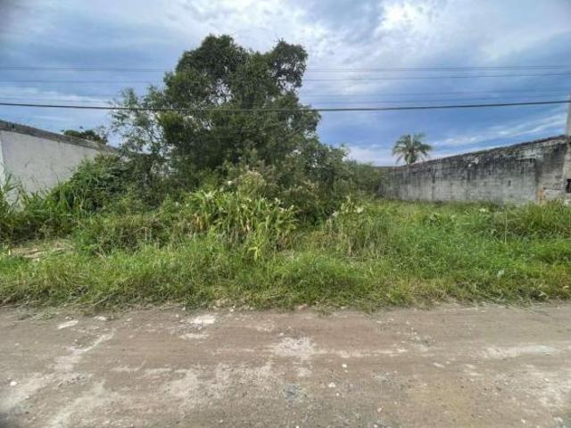 Terreno para Venda em Itanhaém, Luizamar Mirim