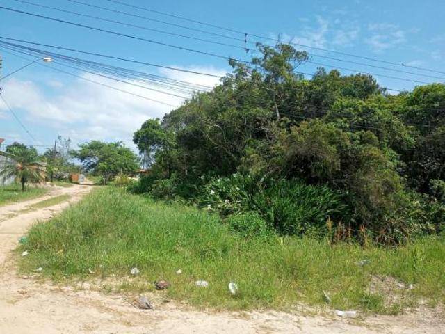 Terreno para Venda em Itanhaém, Luizamar Mirim