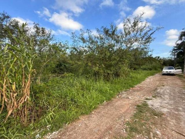 Terreno para Venda em Itanhaém, Luizamar Mirim