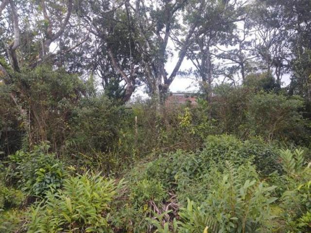 Terreno para Venda em Itanhaém, Luizamar Mirim