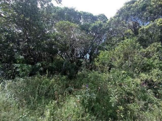 Terreno para Venda em Itanhaém, Maramba 1