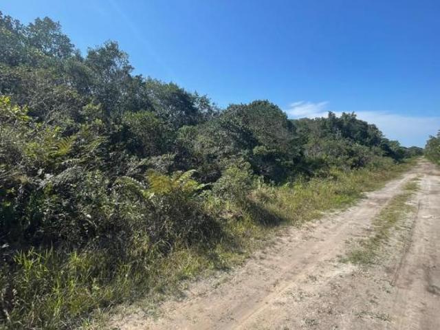 Terreno para Venda em Itanhaém, Maramba 1