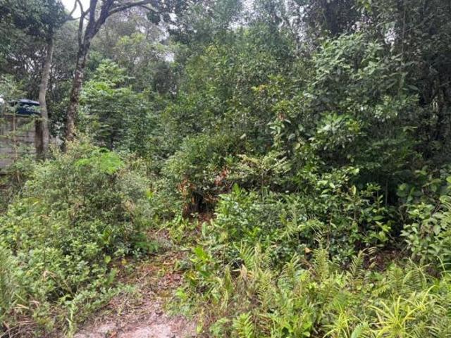 Terreno para Venda em Itanhaém, Maramba 2