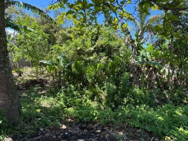 Terreno para Venda em Itanhaém, Maramba 2