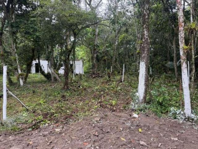 Terreno para Venda em Itanhaém, Maramba 2