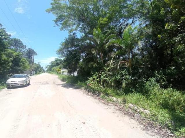 Terreno para Venda em Itanhaém, São Fernando