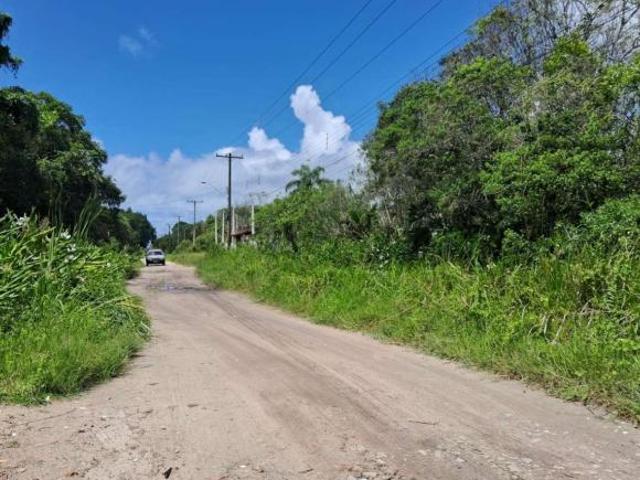 Terreno para Venda em Itanhaém, São Fernando
