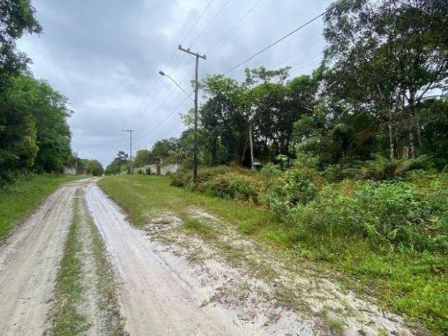 Terreno para Venda em Itanhaém, São Fernando
