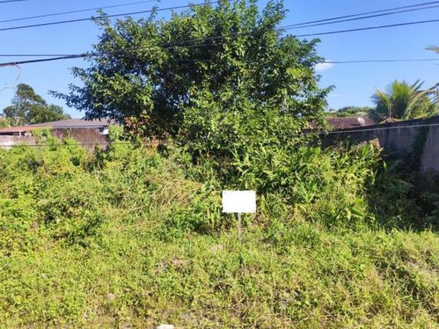 Terreno para Venda em Itanhaém, São João