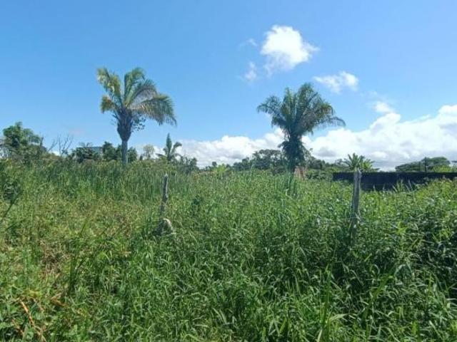 Terreno para Venda em Itanhaém, São Pedro