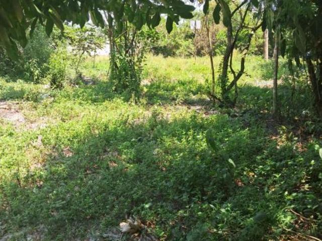 Terreno para Venda em Itanhaém, Santa Cruz