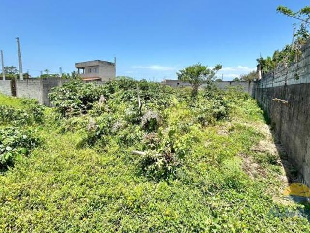 Terreno para Venda em Itanhaém, Santa Cruz