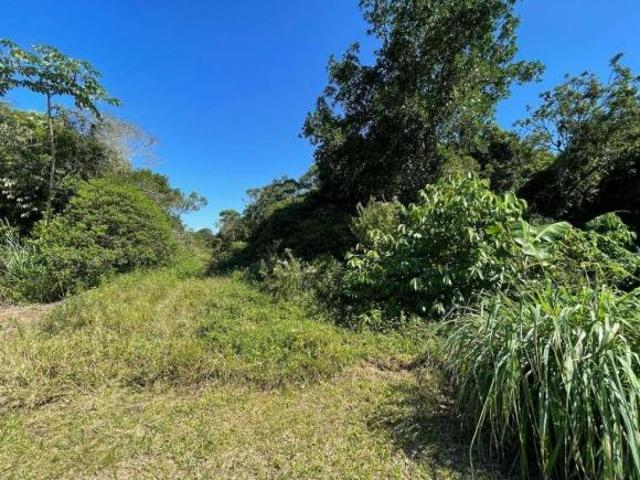 Terreno para Venda em Itanhaém, SANTA CRUZ