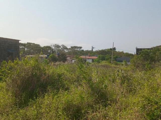 Terreno para Venda em Itanhaém, Santa Julia