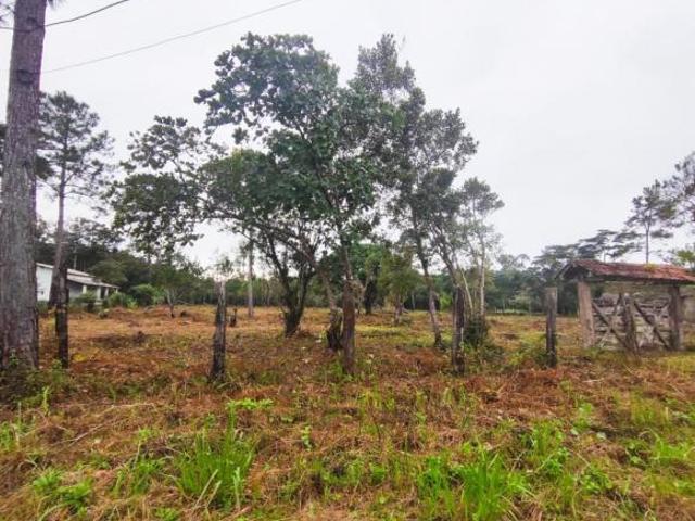 Terreno para Venda em Itanhaém, Sítio Velho