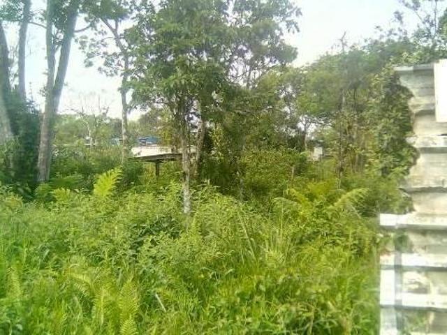 Terreno para Venda em Itanhaém, Sítio Velho