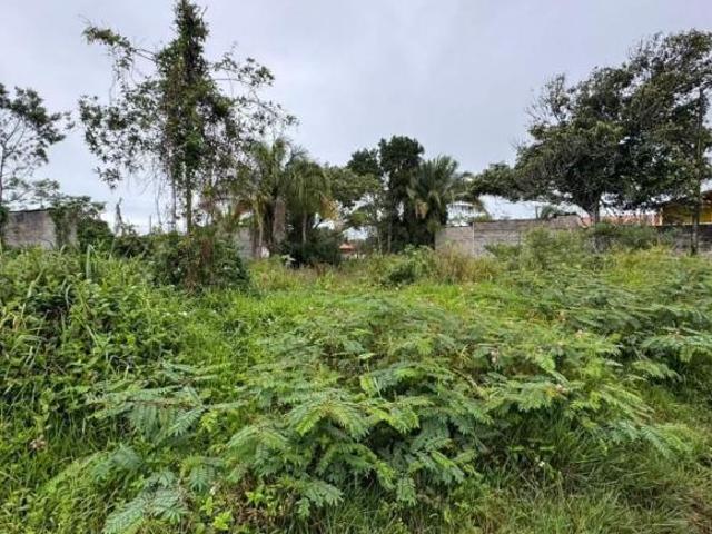 Terreno para Venda em Itanhaém, Palmeiras