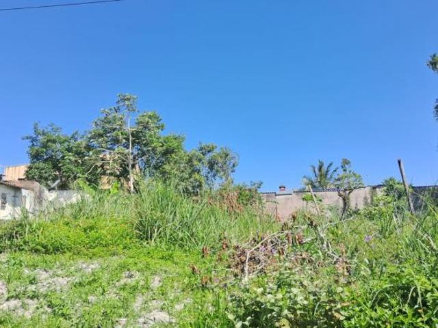 Terreno para Venda em Itanhaém, Palmeiras