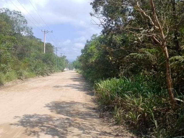 Terreno para Venda em Itanhaém, Palmeiras