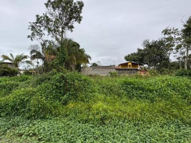 Terreno para Venda em Itanhaém, Palmeiras