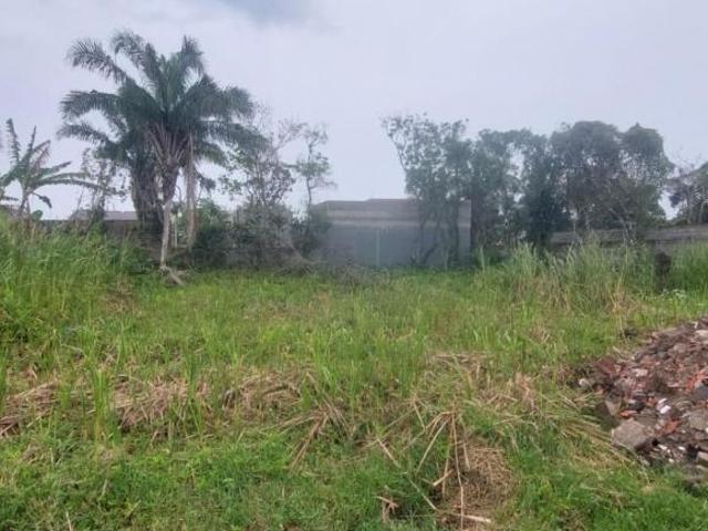 Terreno para Venda em Itanhaém, Palmeiras 2