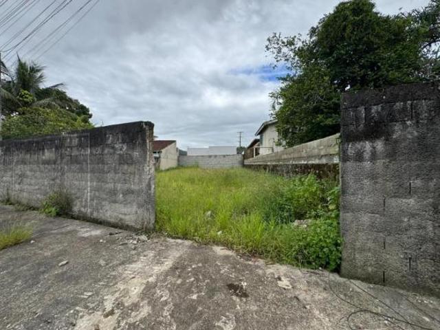 Terreno para Venda em Itanhaém, Palmeiras