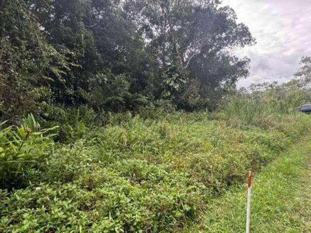 Terreno para Venda em Itanhaém, Palmeiras