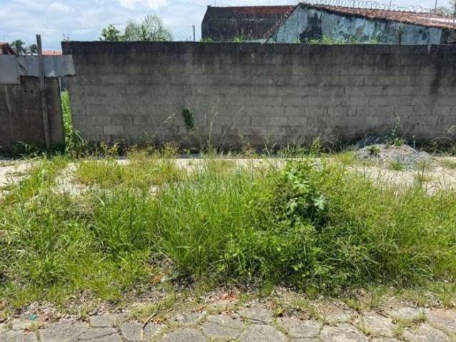 Terreno para Venda em Itanhaém, Palmeiras