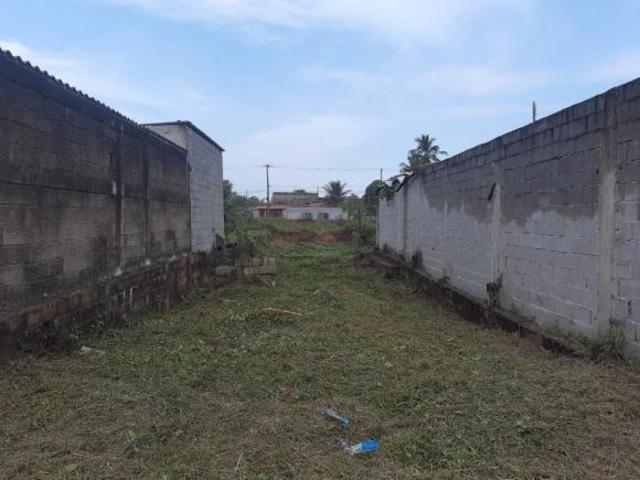 Terreno para Venda em Itanhaém, Palmeiras