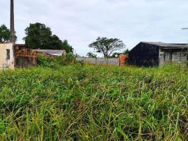 Terreno para Venda em Itanhaém, Palmeiras