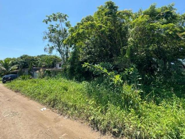 Terreno para Venda em Itanhaém, Palmeiras