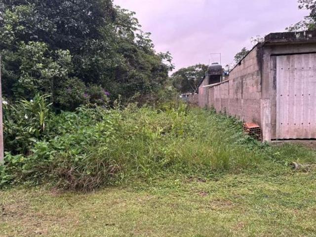 Terreno para Venda em Itanhaém, Palmeiras