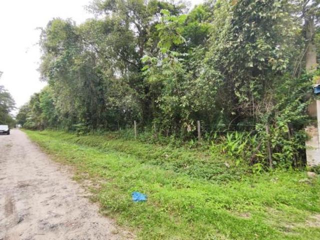 Terreno para Venda em Itanhaém, Palmeiras