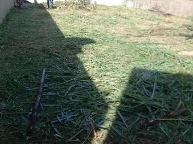 Terreno para Venda em Itanhaém, Palmeiras