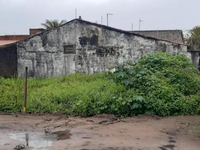 Terreno para Venda em Itanhaém, Palmeiras